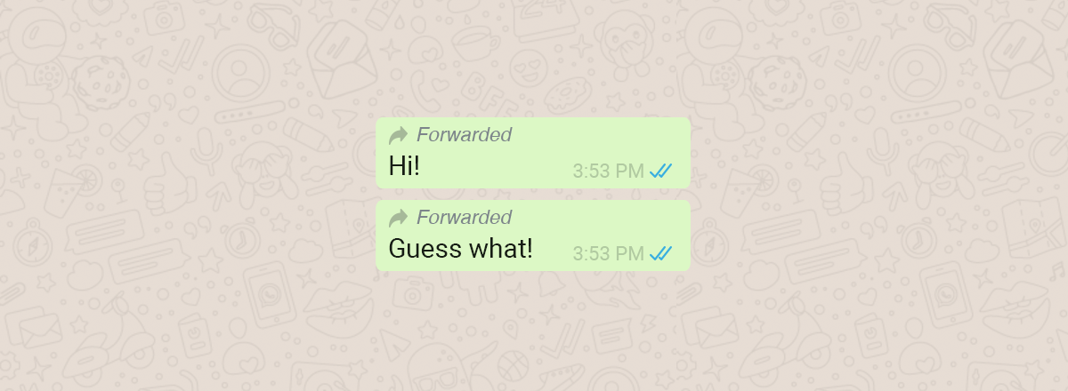 How to Tell How Many Times Your WhatsApp Message Has Been Forwarded