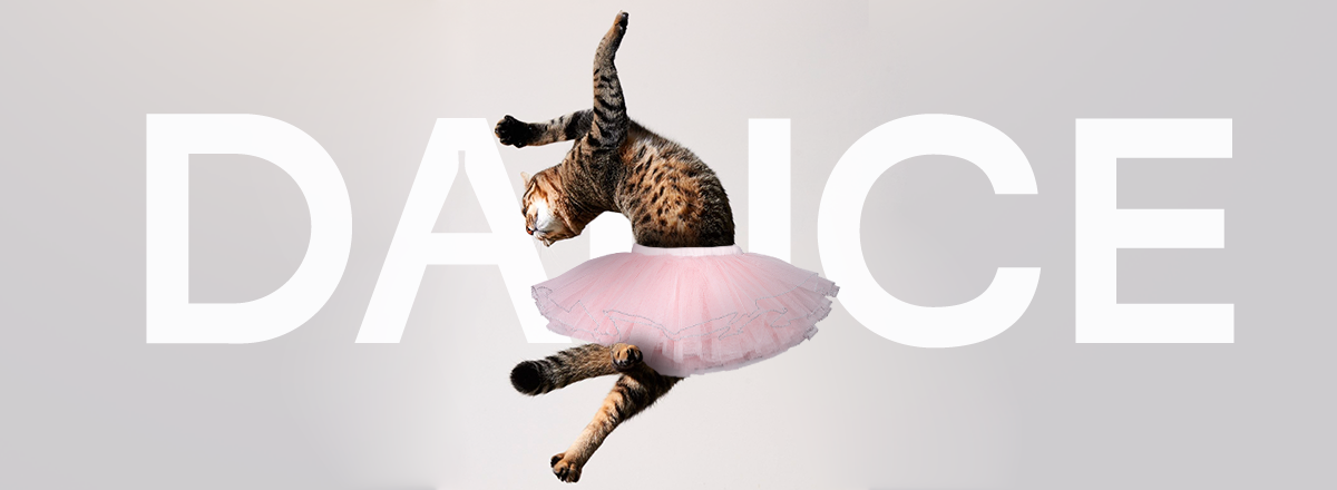 6 YouTube Channels That Can Help You Learn Basic Dance Moves