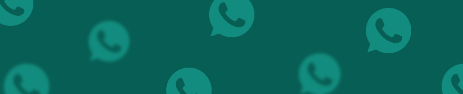 WhatsApp Web - The Internet Protocol