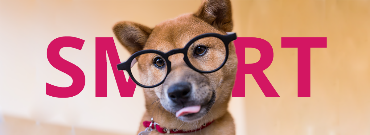 5 Ways to Become Smarter and 6 Reasons Why You’re Smarter Than Others